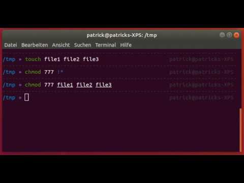 How to repeat the arguments of the previous command in Linux Bash