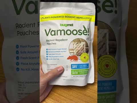 BugMD Vamoose Rodent Repellent Pouches