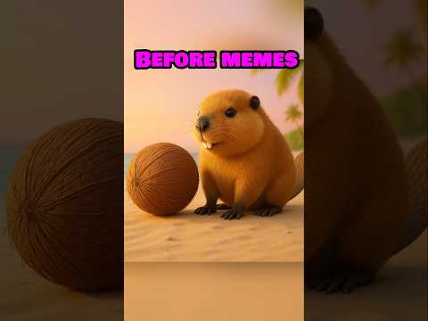 Italian Brainrot Memes Before meet Each Other π± #italianbrainrot #brainrot