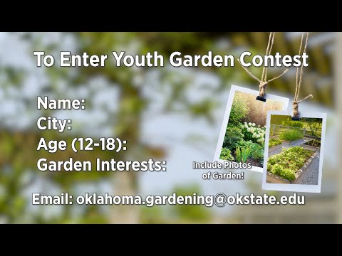 Youth Garden Contest Announcement