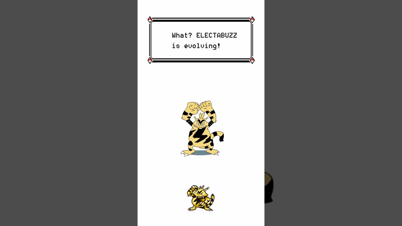 Electabuzz Evolves Into Elevtavire - Pokemon Evolution Animation