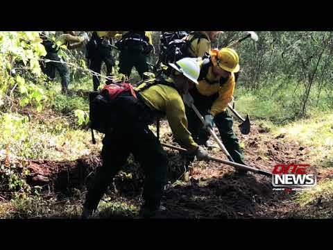 Want to help put out wildfires? DNR wants you