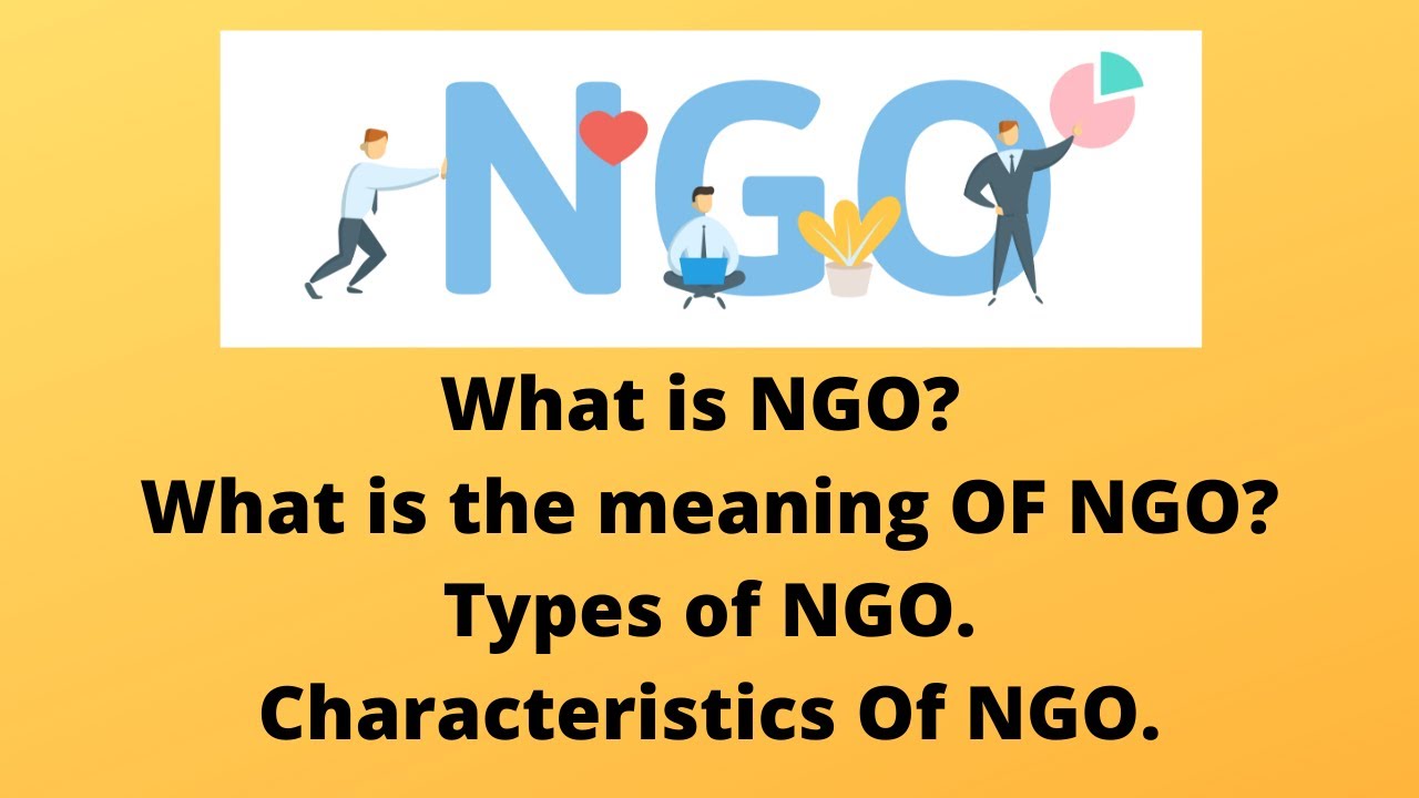 Understanding NGOs: Definition, Types, and Characteristics | Galaxy.ai