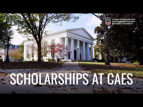 Scholarships at CAES