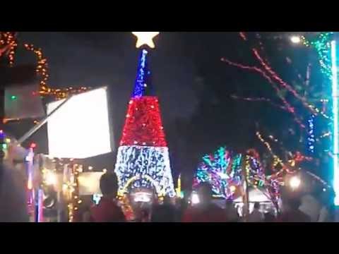 @Santa's Enchanted Forest 12/2/2016