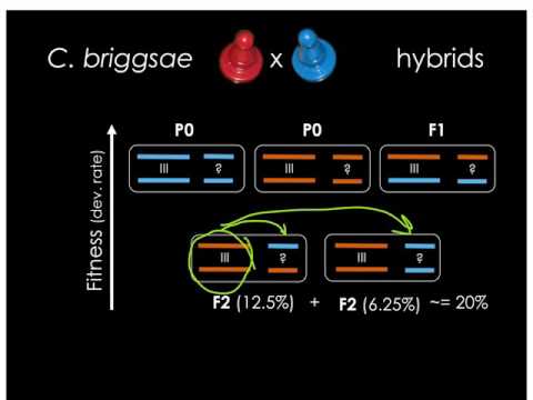 170330 West Coast SDB Talk: "Clues to hybrid developmental dysfunction" in Caenorhabditis briggsae