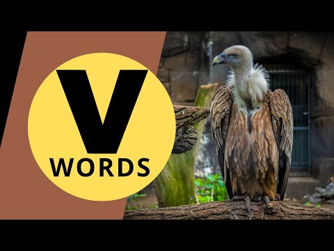Words That Begin With V Sound - Learn Words That Begin With V