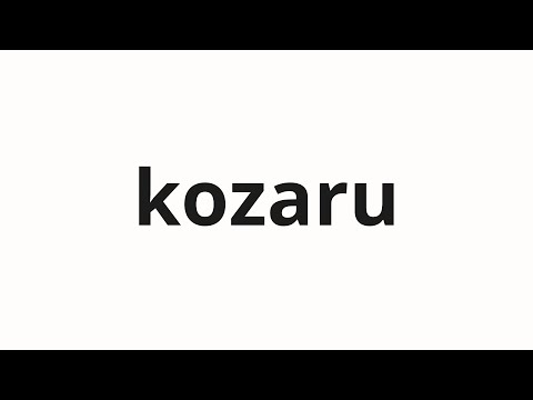 How to pronounce kozaru | 子猿 (Kid a monkey in Japanese)