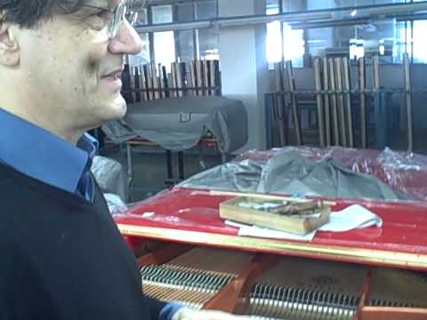Paulello_Discussion_Engineers.AVI