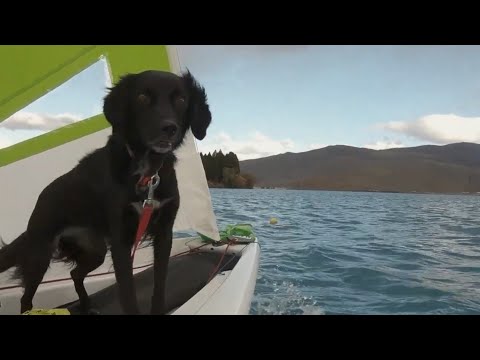A New Crew Member on the RS Quest!