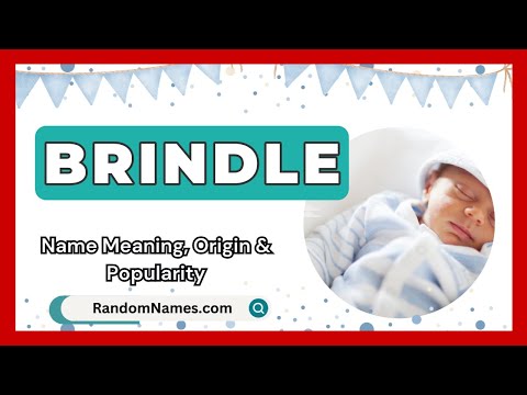 Brindle - Baby Boy Name Meaning, Origin & Popularity - RandomNames.com