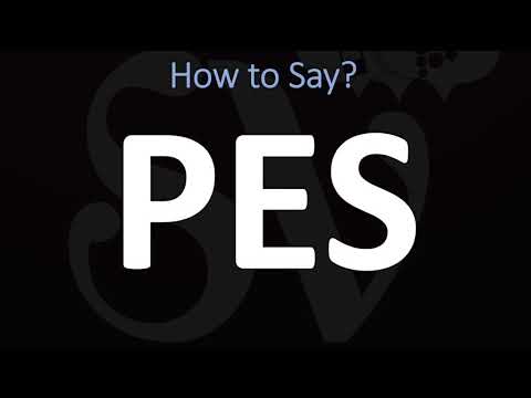 How to Pronounce PES?