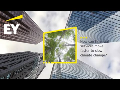How can financial services move faster to slow climate change?