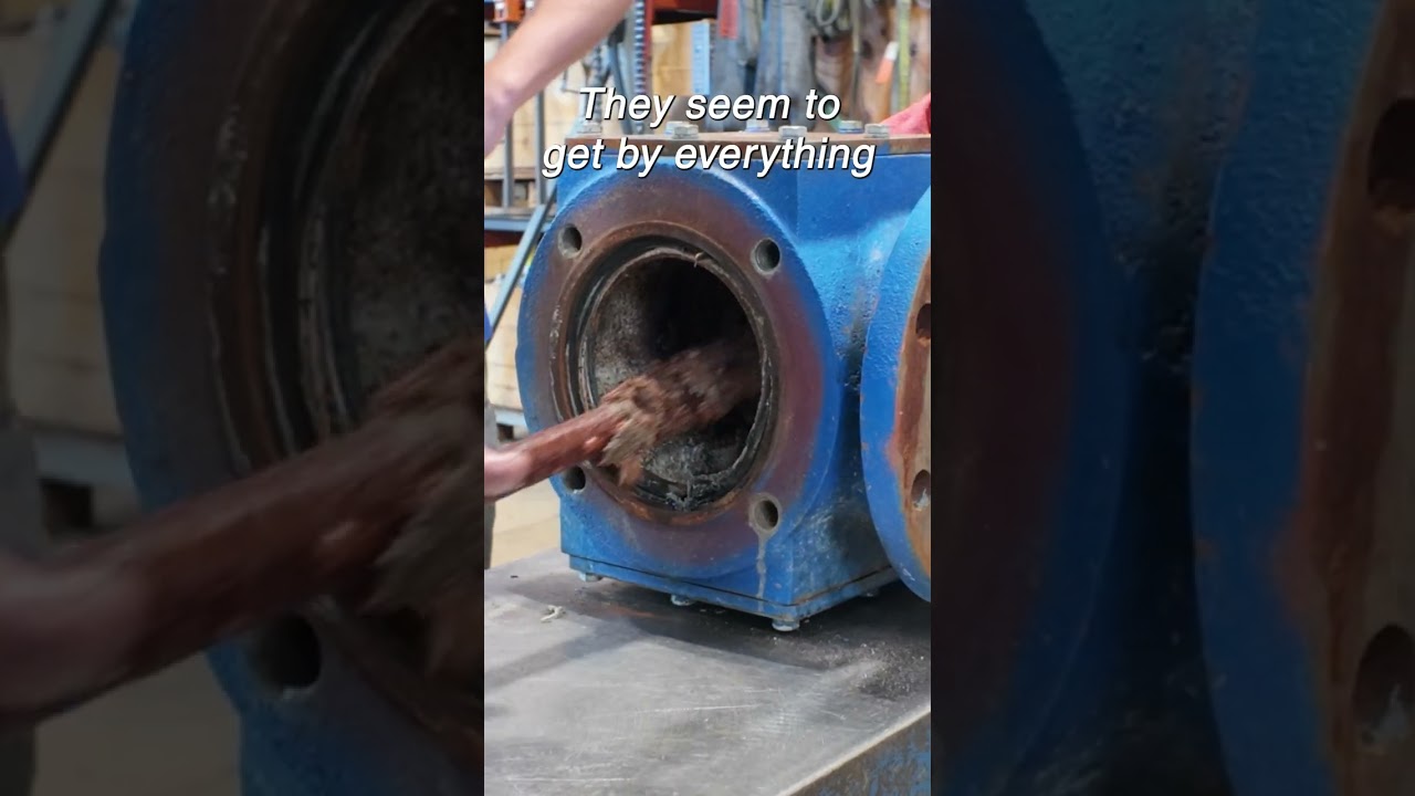 Inspection of a Wastewater Progressing Cavity Pump Part 6 #pump #repair #mechanic