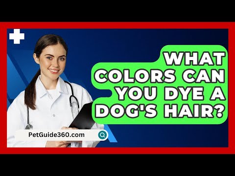 What Colors Can You Dye A Dog's Hair? - PetGuide360.com