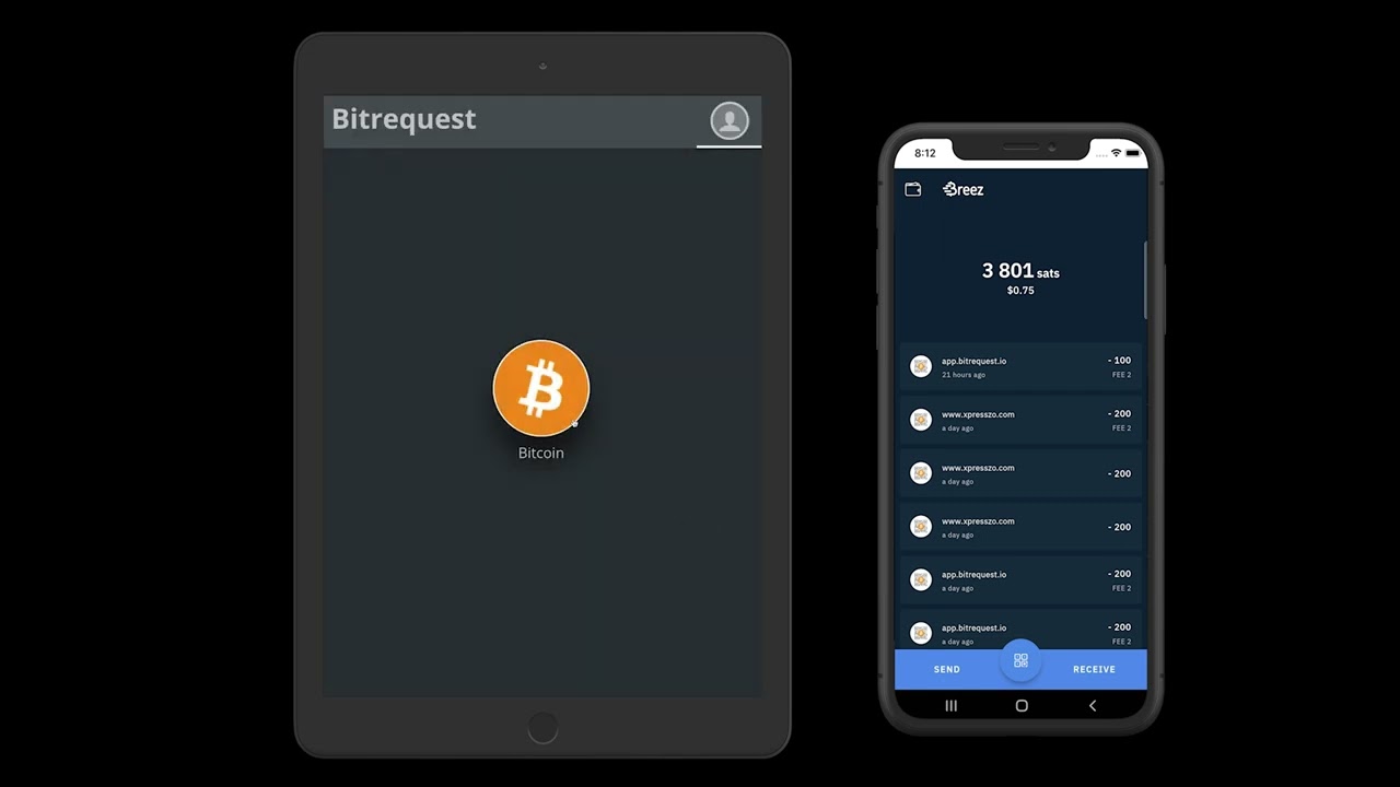 Connect to bitrequest with your LNbits API key. The easiest way to accept lightning payments