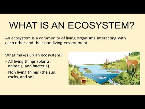 What is an Ecosystem? in Hindi/Urdu