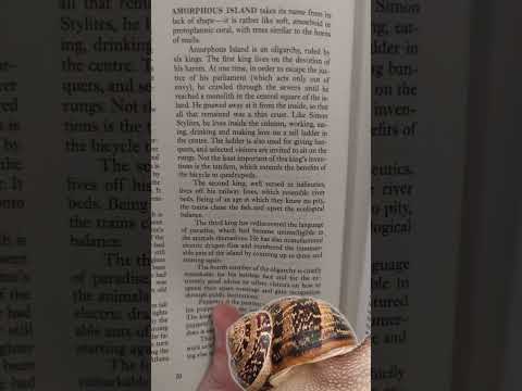 Amorphous Island | Dictionary of Imaginary Places!