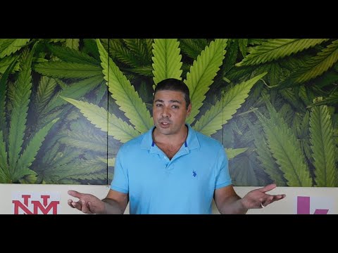 Welcome to the Cannabis Connection University