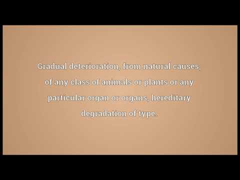 Degeneration Meaning