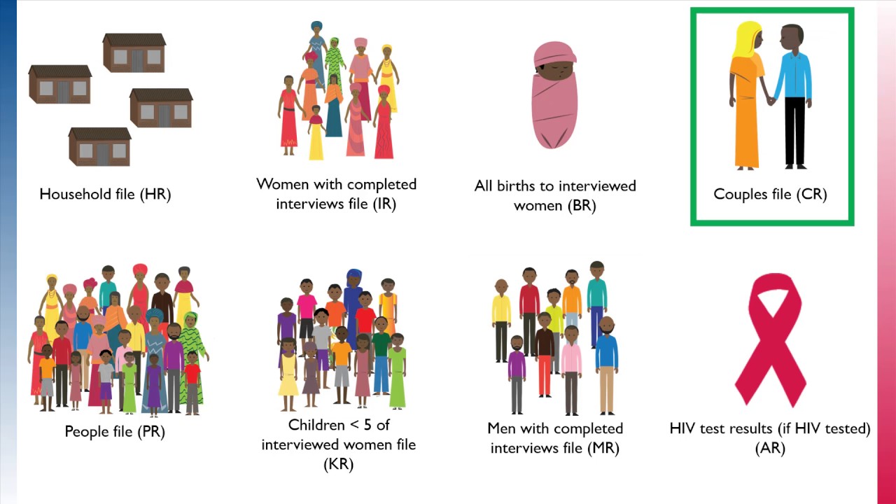 DHS Dataset Types in 60 Seconds