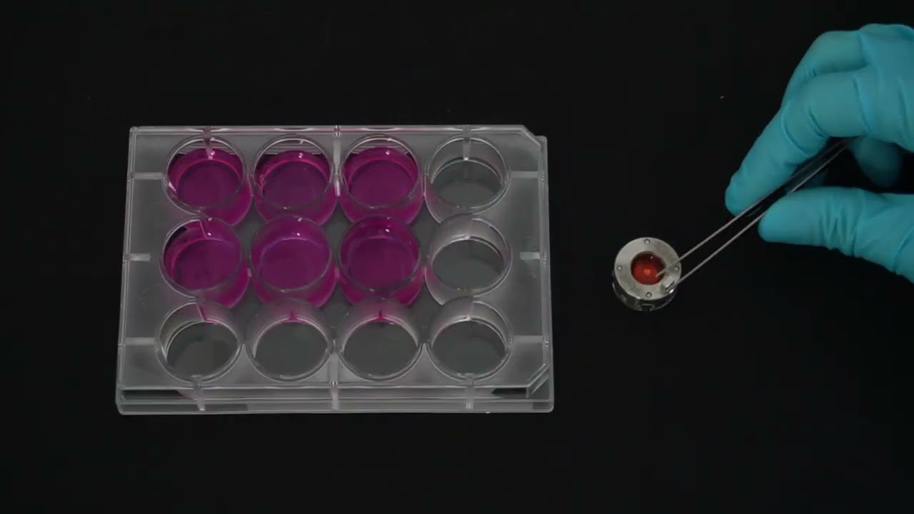 13.How to use the µ-volume sample holder for ElastoSens™ Bio?
