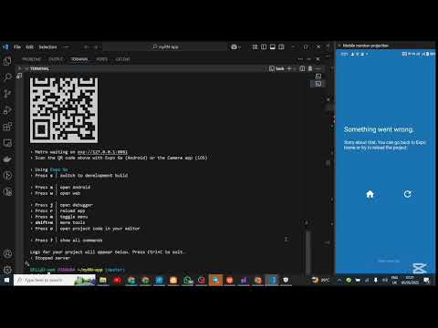 Something went wrong expo Go - Reactnative app development
