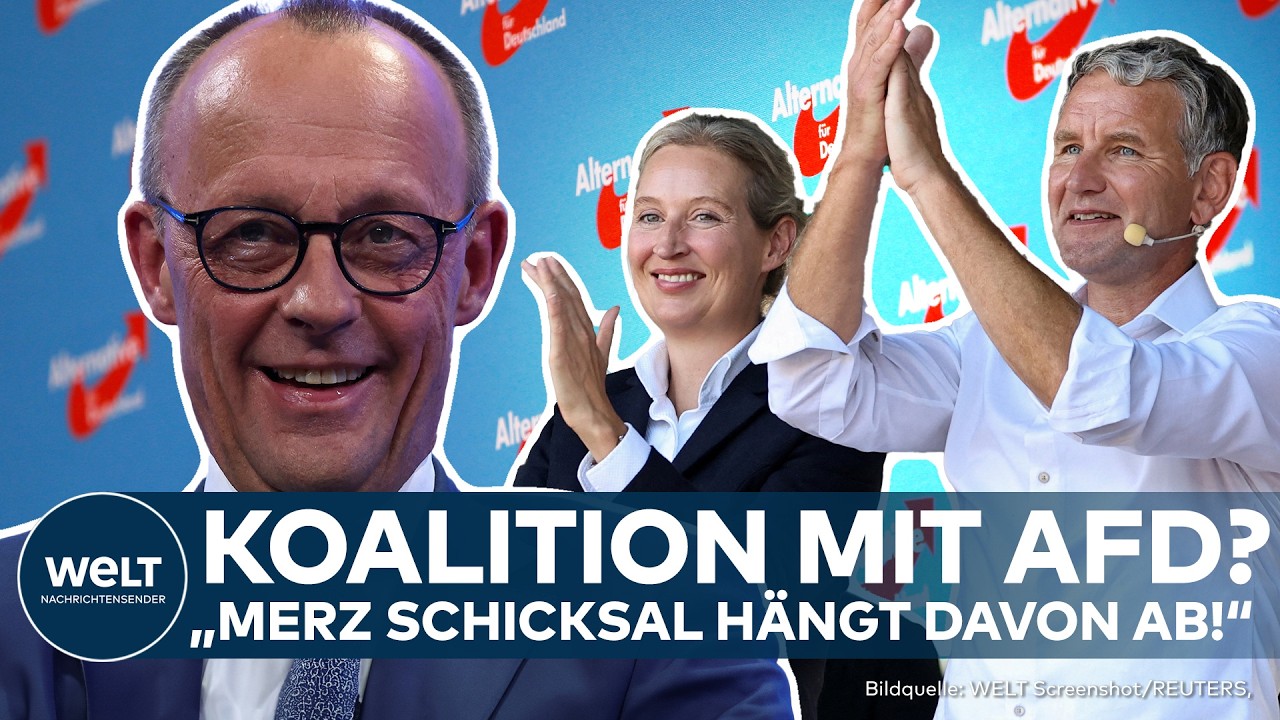 Friedrich Merz and the CDU's Dilemma: Navigating Coalition Options with the AfD | Galaxy.ai
