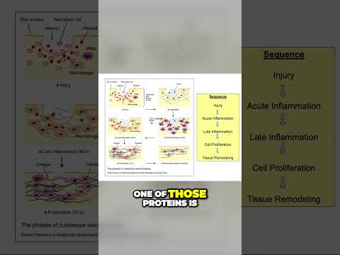 The Power of Platelets and Platelets Derived Growth Factors in Wound Healing, Secrets Revealed!