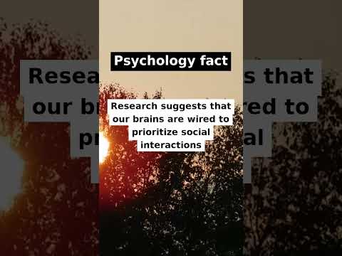 🧠 How our brains are wired for social connection