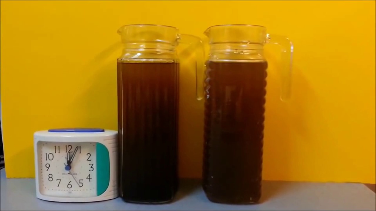 Moringa Water Purification