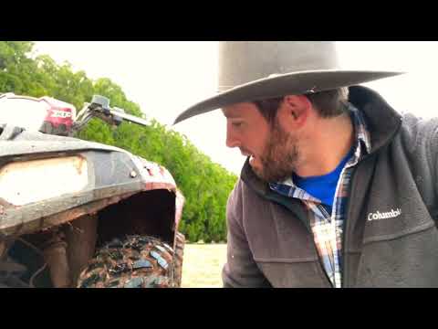 Cheap or Expensive?? Wanda P350 vs Maxxis Bighorn ATV Tire