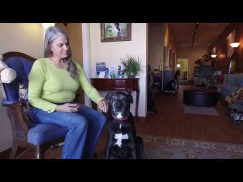 Dr. Sarah Daane-Froelich - Ten Mile Veterinary