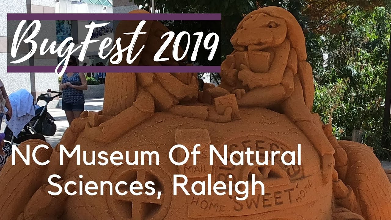 NC Museum of Natural Sciences BugFest 2019  |  GoPro 7 Black |  HD