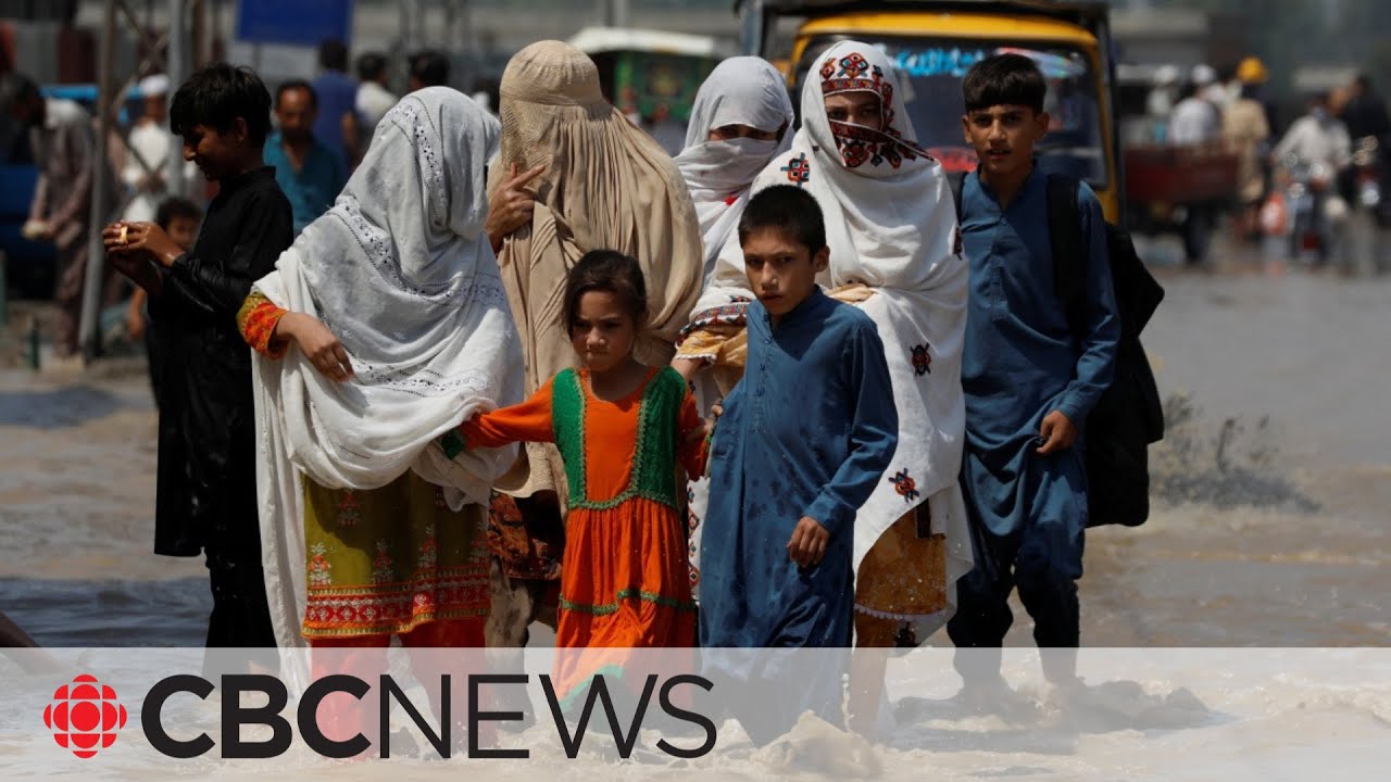 UNICEF calls for international aid as Pakistan grapples with catastrophic floods