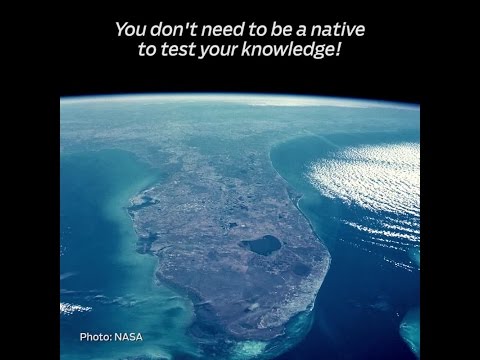 Video: Do you know Florida's state symbols?