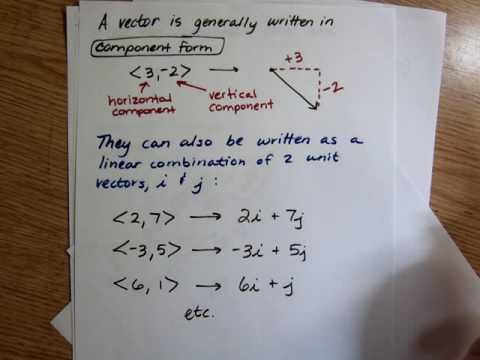 Vector Notes Day One