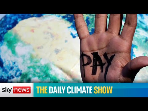 The Daily Climate Show: Are COP summits fit for purpose?