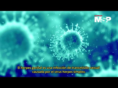 ¿Cómo funciona el herpes genital en el cuerpo? - #ExclusivoMSP