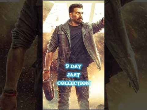 Jaat 9 day collection 🤯Jaat worldwide collection#movie #collection #tranding #virses
