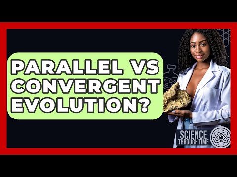 Parallel Vs Convergent Evolution? - Science Through Time