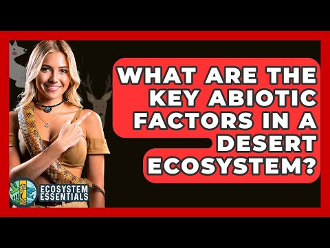 What Are The Key Abiotic Factors In A Desert Ecosystem? - Ecosystem Essentials