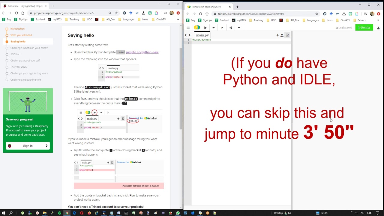 Code Club. Python Module 1. Task instructions