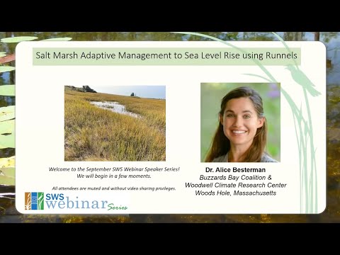 October 2021 Webinar - Salt marsh adaptive management to sea level rise using runnels