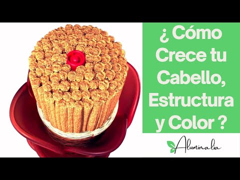 El cabello, crecimiento, estructura capilar y color. – APUNTES DE ...