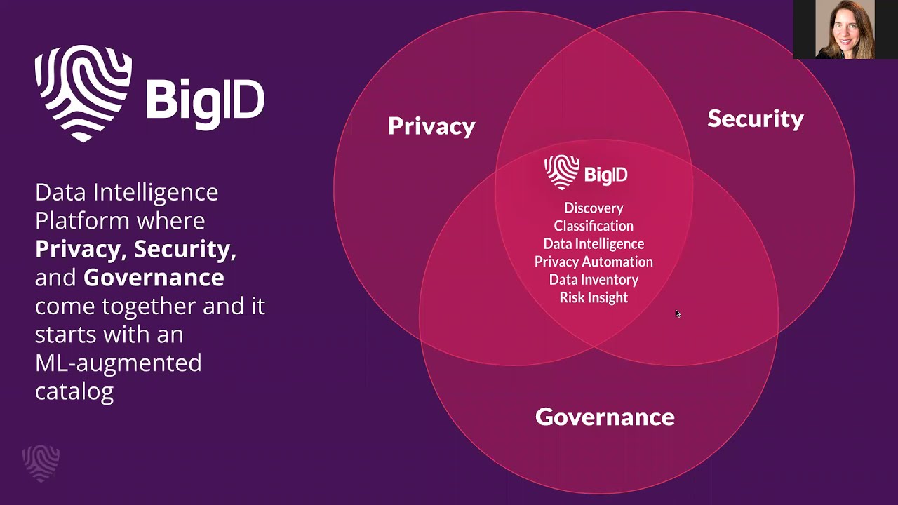 BigID Data Catalog Demo