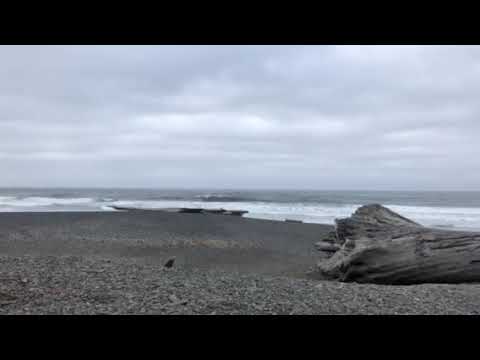 Video of Quileute Oceanside Resort, WA from Jackie S.