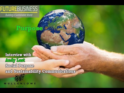 The Meaning of Purpose in Business