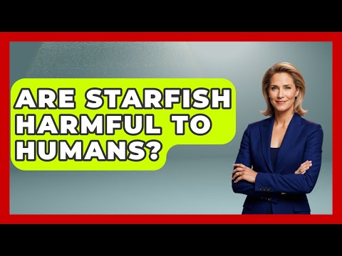 Are Starfish Harmful To Humans? - The Marine Life Explorer