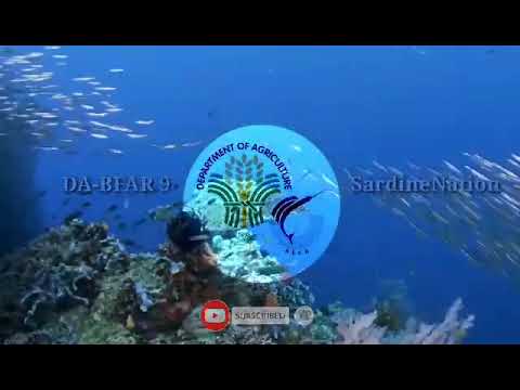DA-BFAR 9 SardineNation Intro Video